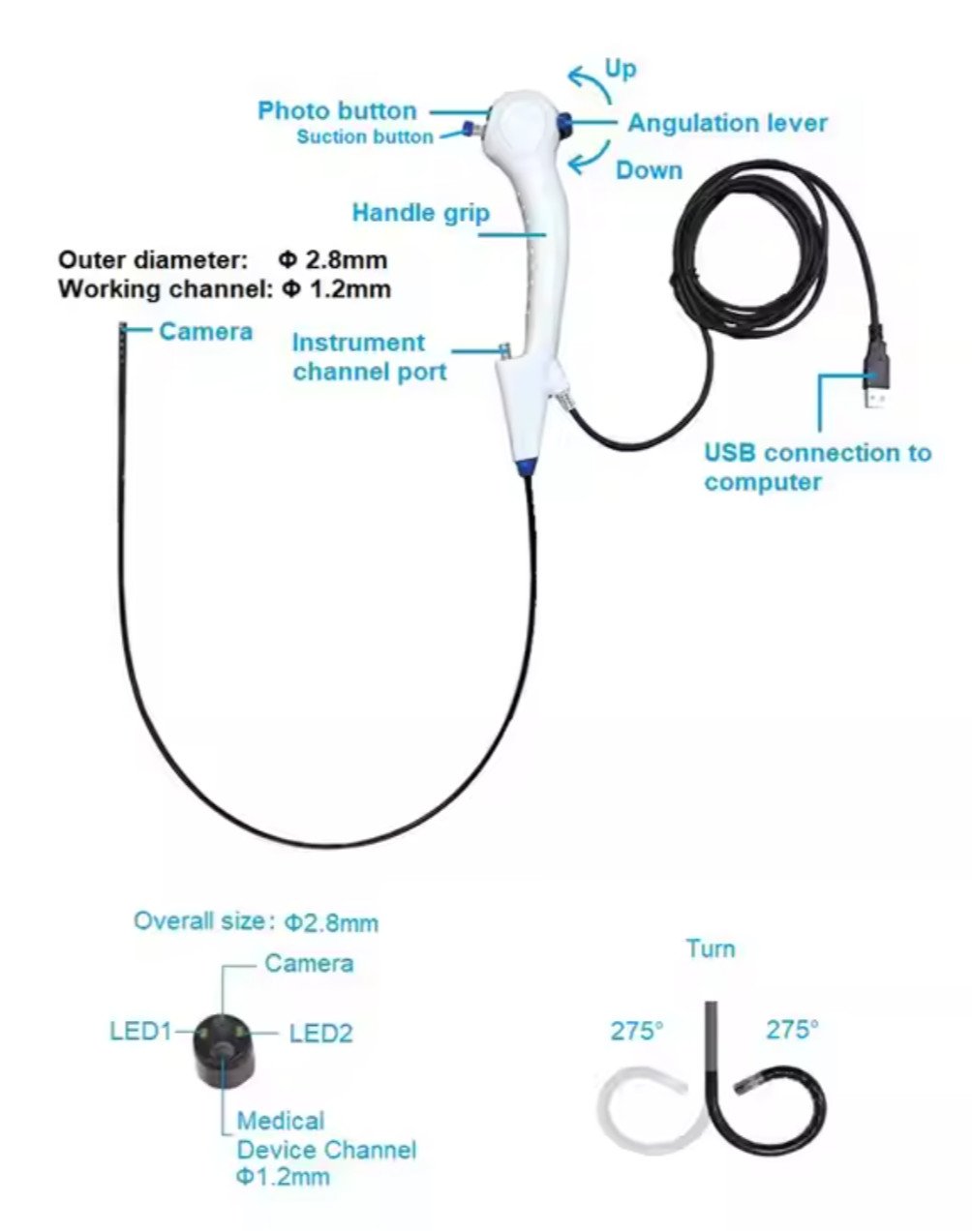 Flexible Video Bronchoscope, Bronchoscopy Endoscopic Devices Latest Price